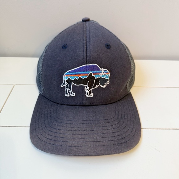 Patagonia | Accessories | Patagonia Fitz Roy Bison Motif Lo Pro Trucker ...